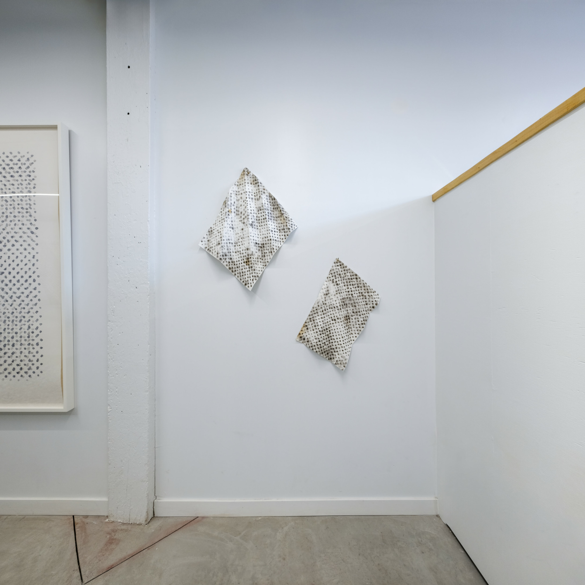 Hollace Cluny / Double Vision